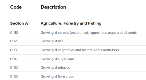 Understanding SIC Codes: What They Are and How to Choose Yours ...